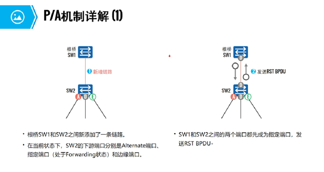 RSTP之PA机制详解 - 401335990 - 博客园