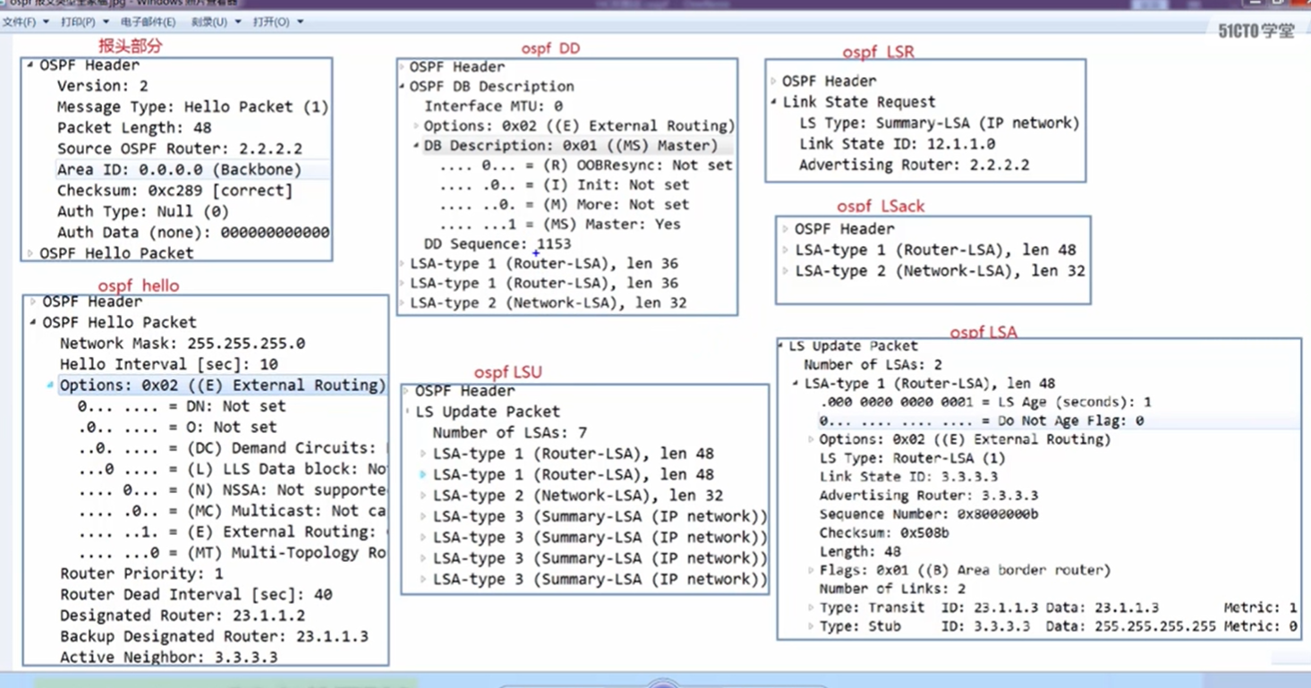 OSPF邻居建立过程之一 - 401335990 - 博客园