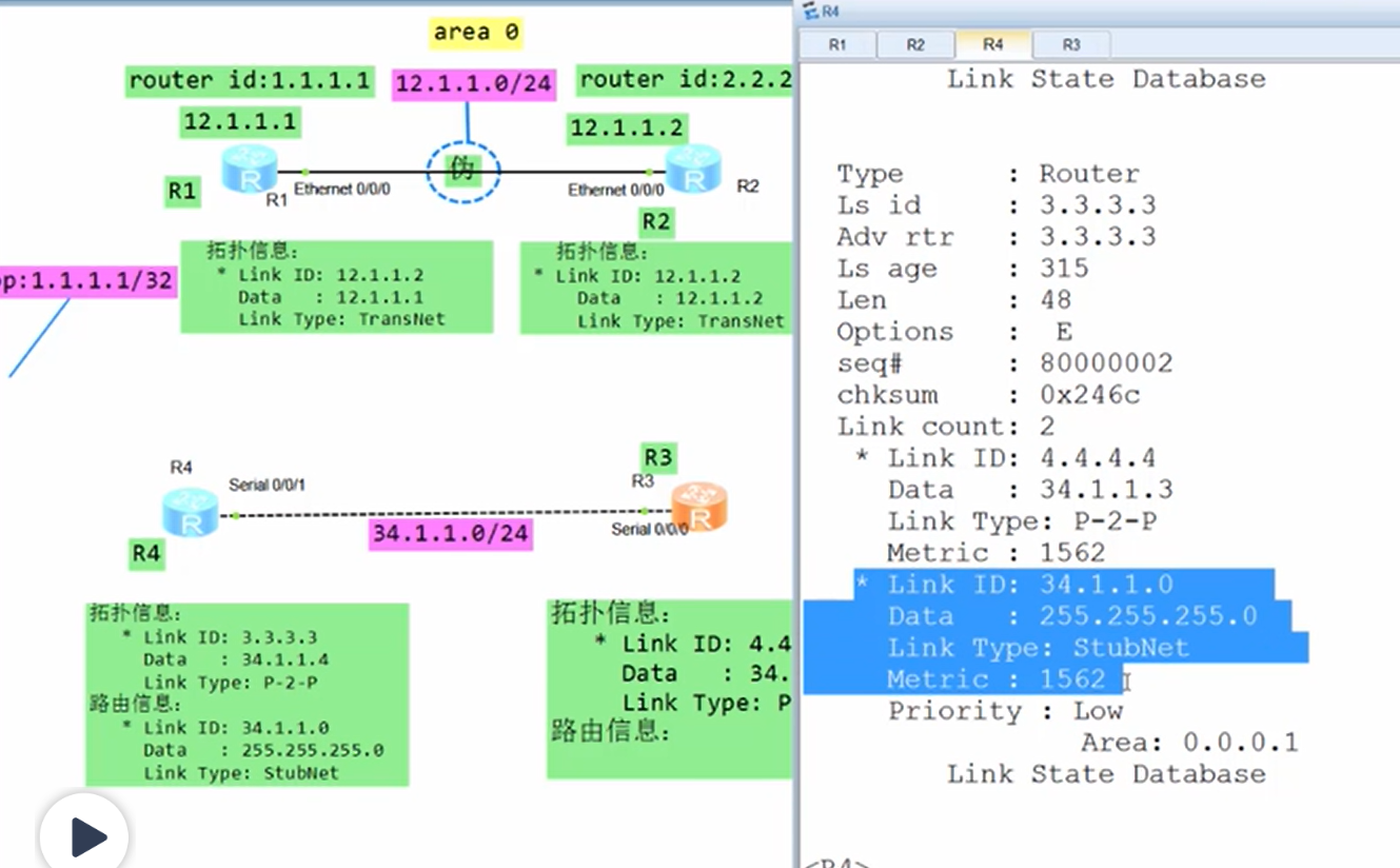OSPF-1类LSA - 401335990 - 博客园