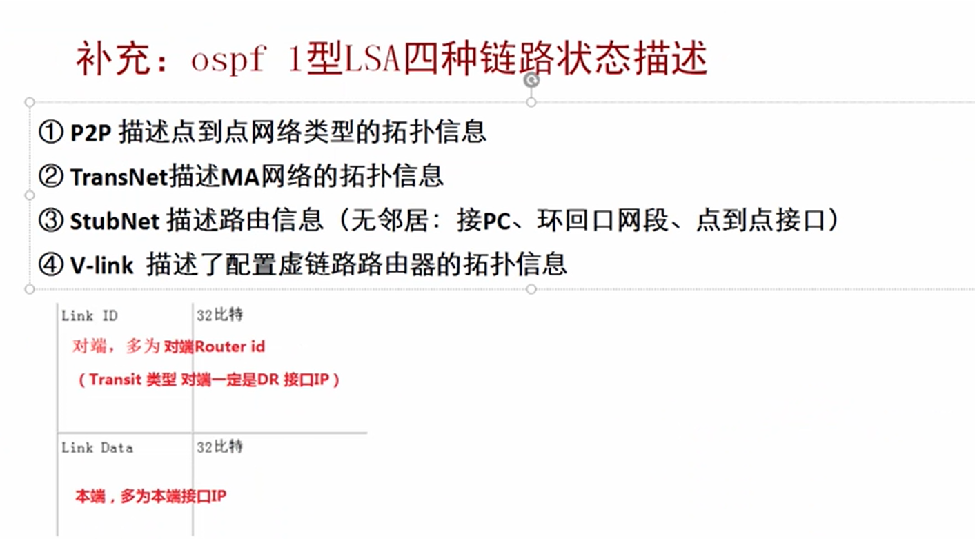 OSPF-1类LSA - 401335990 - 博客园