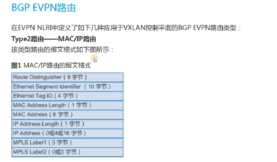 EVPN概述 - 401335990 - 博客园