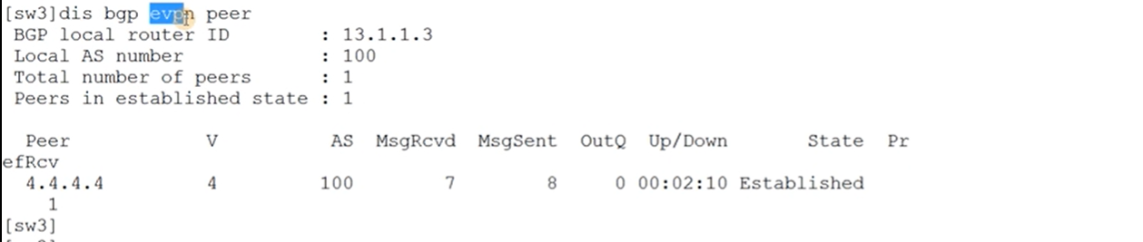EVPN配置 - 401335990 - 博客园