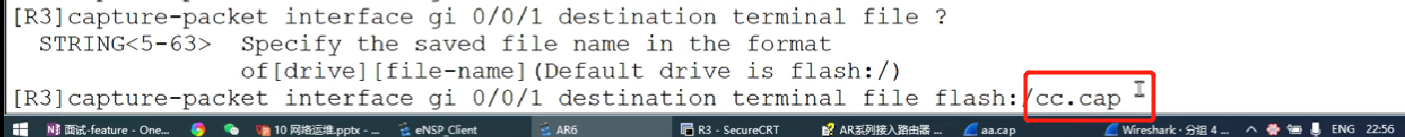 报文捕获 - 401335990 - 博客园