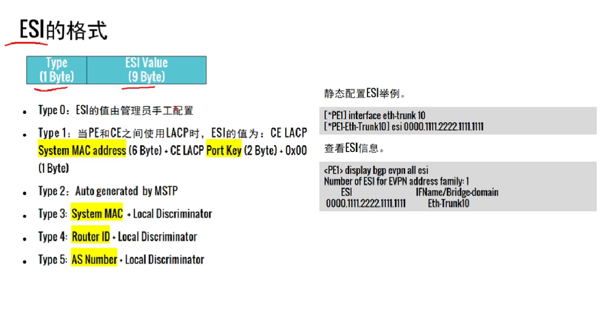 EVPN基本术语 - 401335990 - 博客园