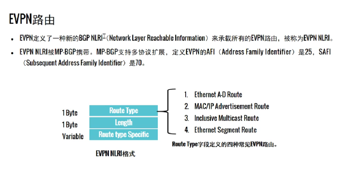EVPN路由 - 401335990 - 博客园
