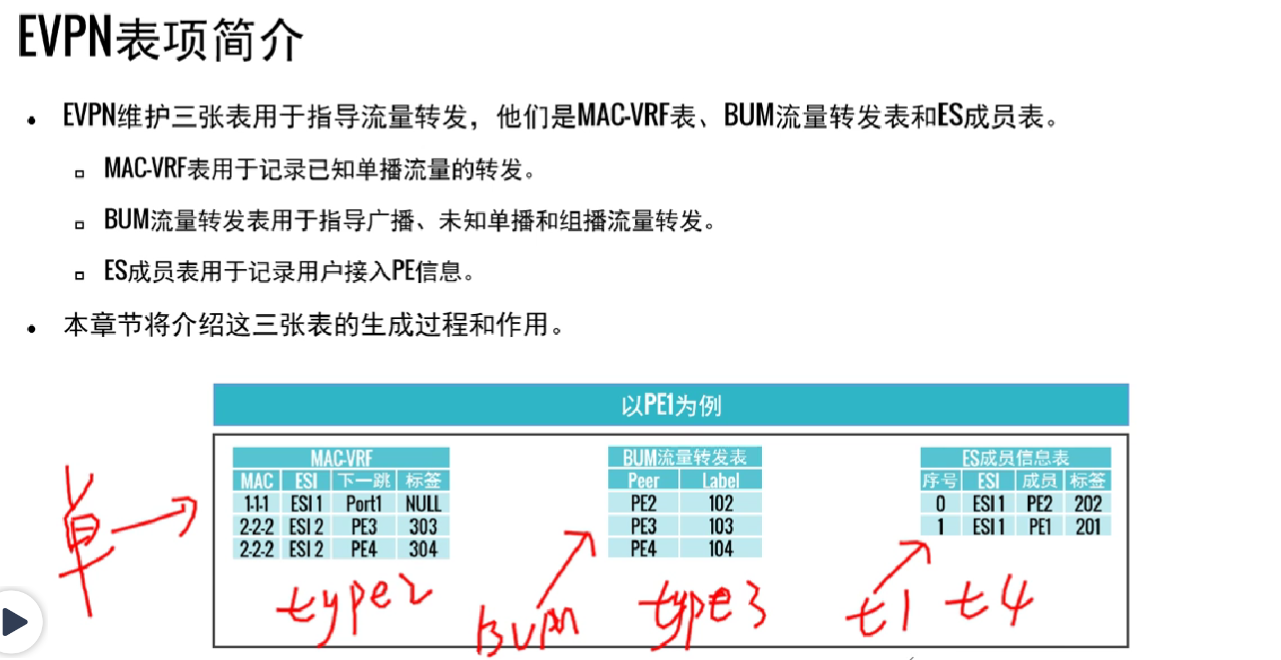 EVPN单活实验 - 401335990 - 博客园