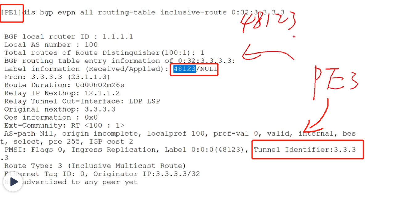 EVPN单活实验 - 401335990 - 博客园