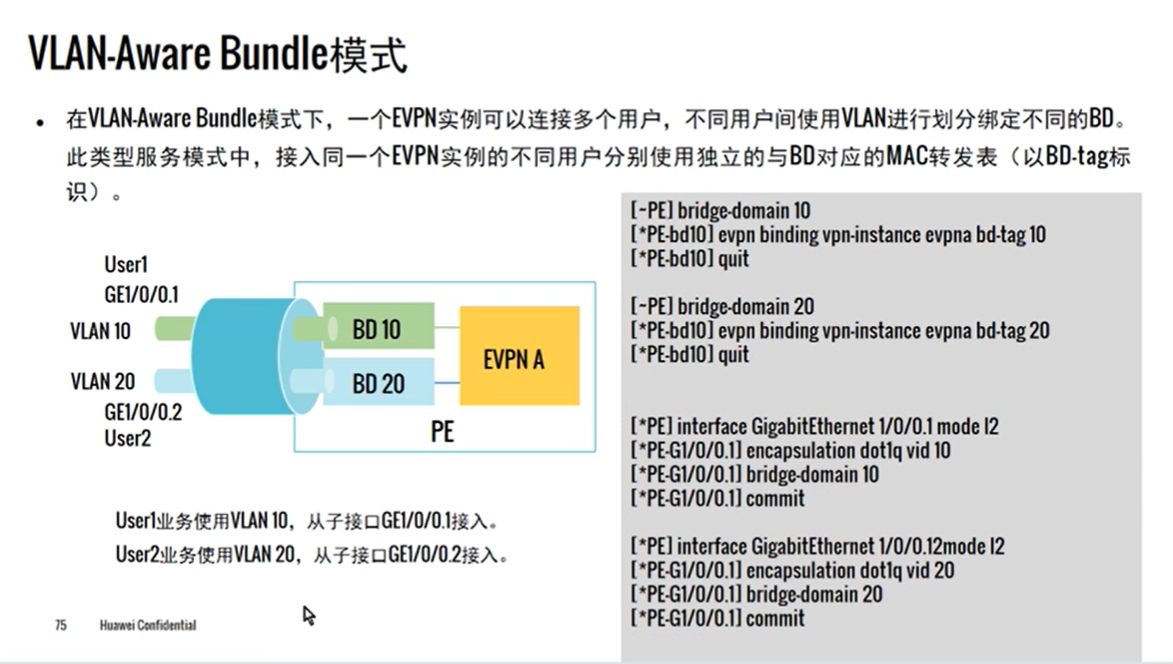 EVPN接入方式 - 401335990 - 博客园