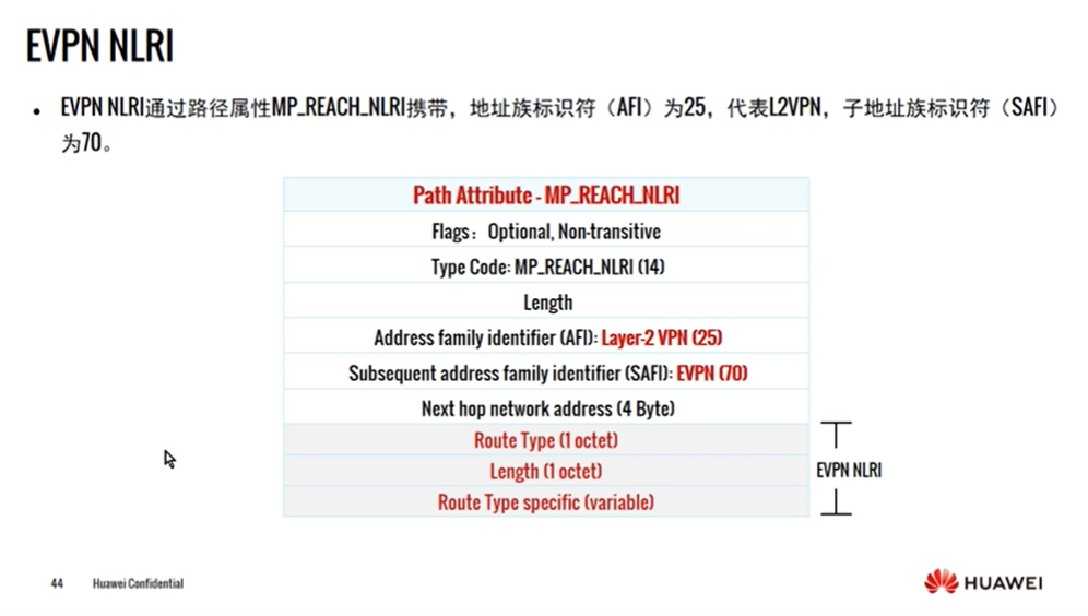 BGP EVPN概念 - 401335990 - 博客园