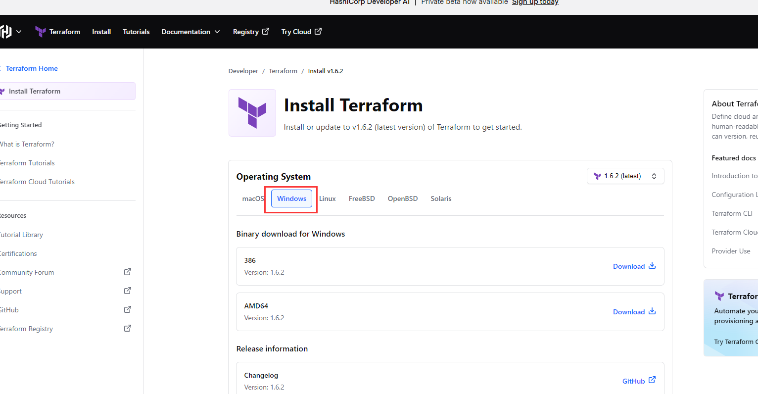 Terraform 在 Windows 下安装及配置 IDEA 插件 - klvchen - 博客园