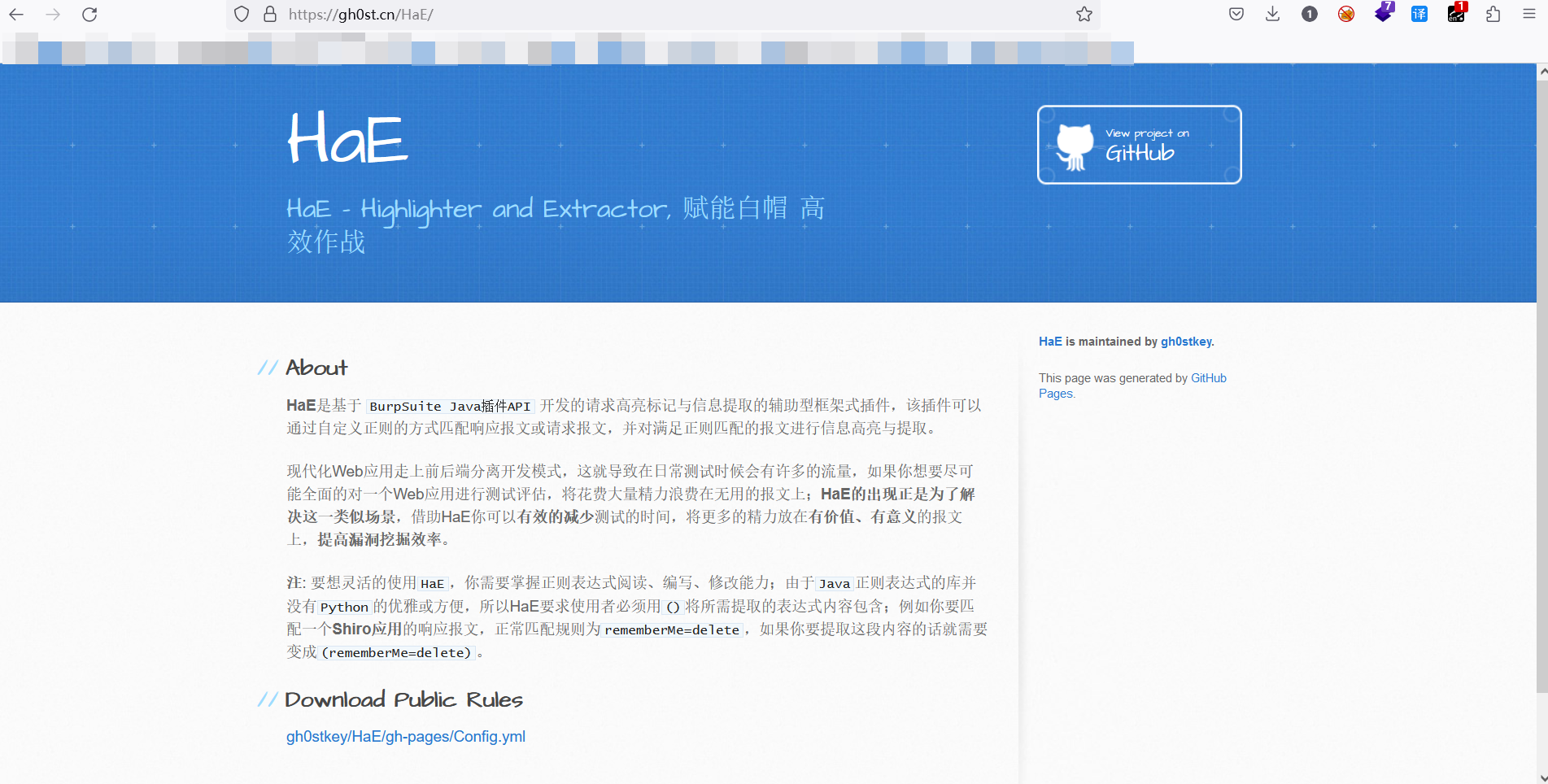 使用Burp插件HAE进行敏感信息的提取 - 小哥爱美食 - 博客园