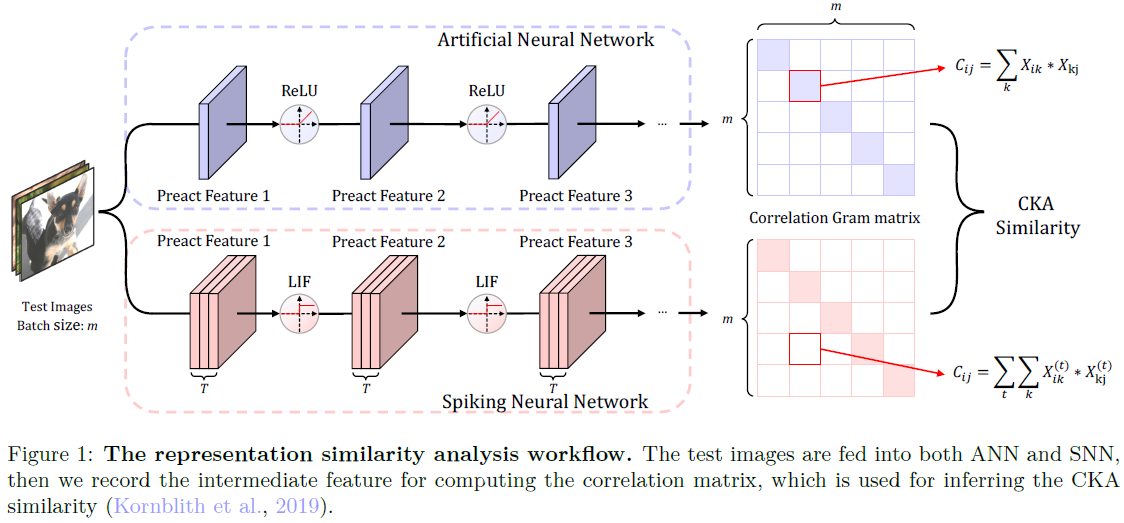 Uncovering the Representation of Spiking Neural Networks Trained with Surrogate Gradient - 穷酸秀才大 ...