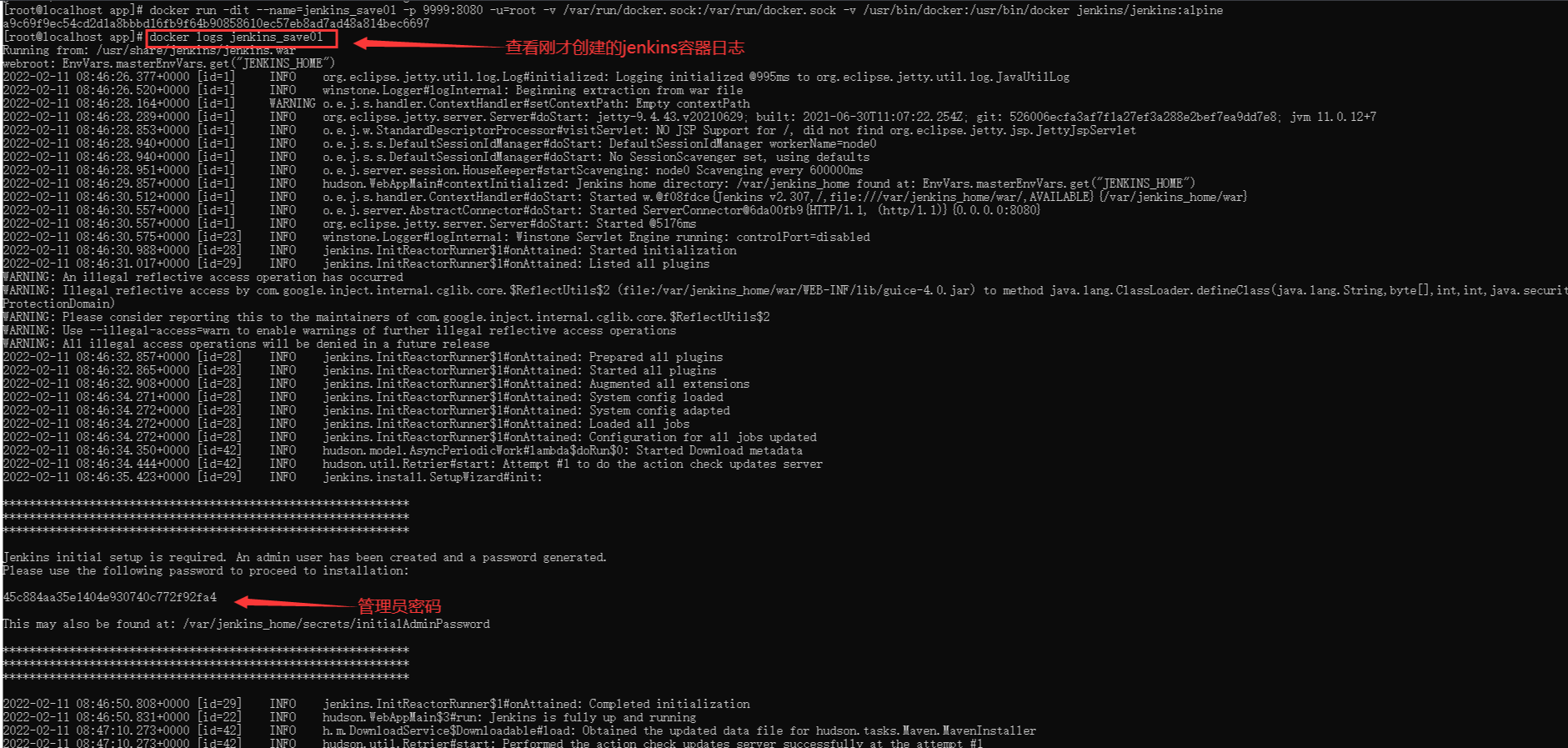Dockerjenkins 运行 Python 自动化 Sophietest 博客园 