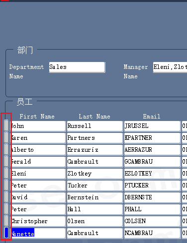 EBS FORM开发全过程(2) - 胖大海527 - 博客园