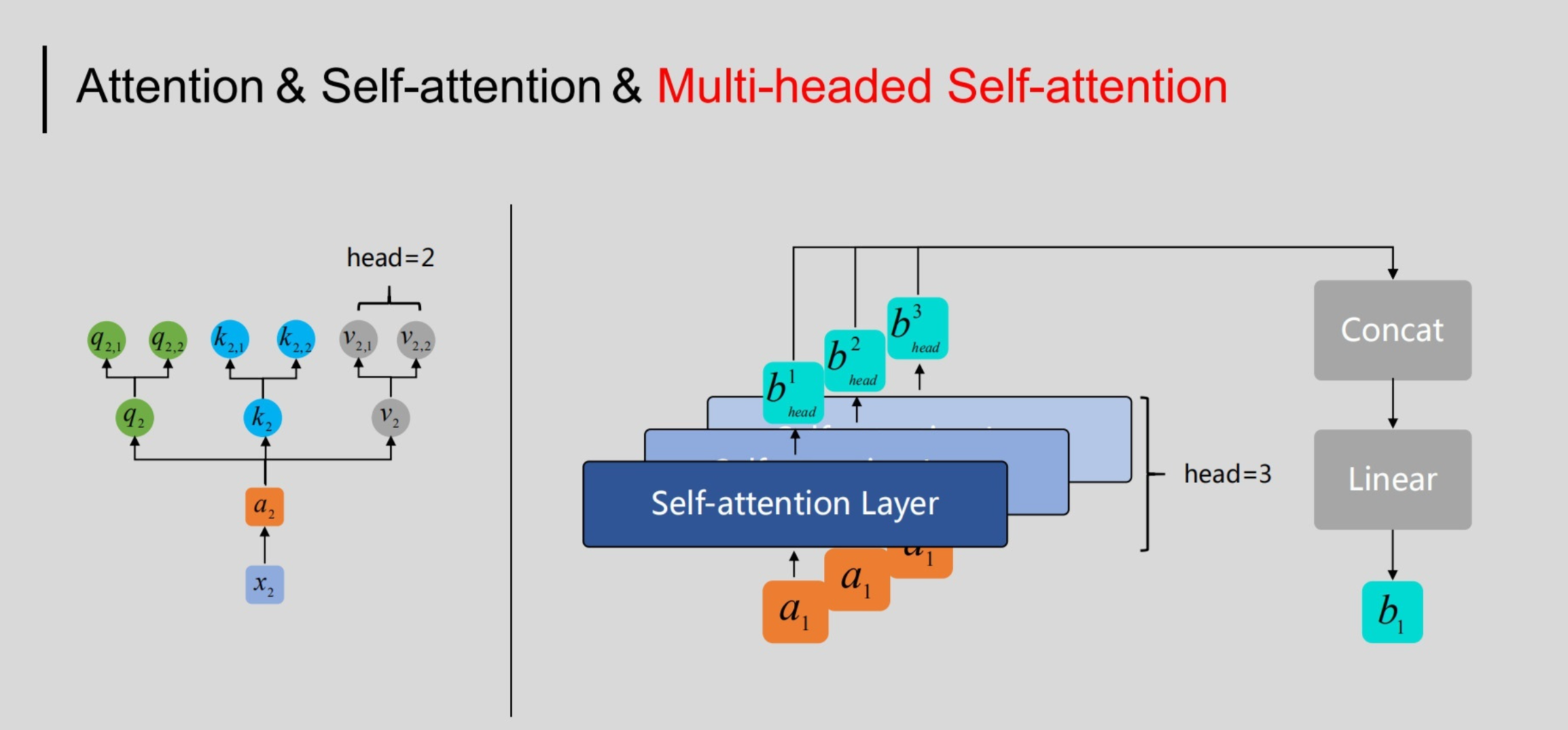 pytorch-多头注意力(维度分析)重要 - lipu123 - 博客园