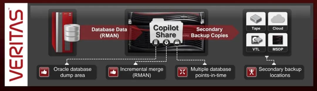 NetBackup 10.2 新功能介绍：PostgreSQL 和 MySQL 自动化恢复达成 - sysin - 博客园