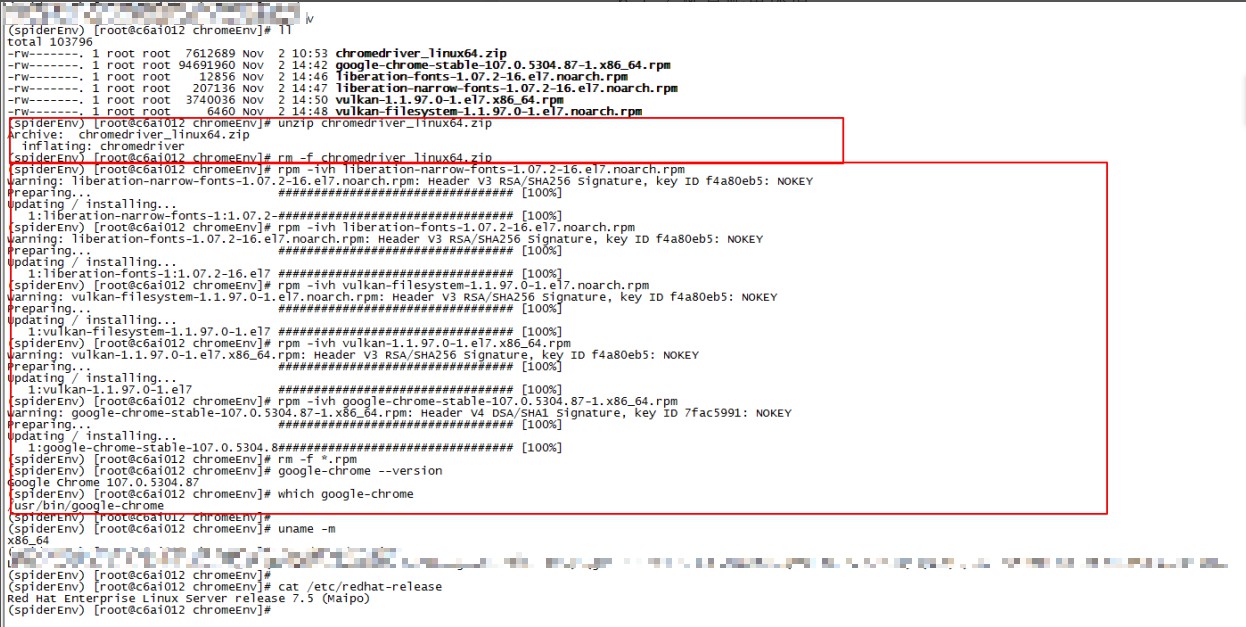Linux系统离线安装Google浏览器和相关驱动 - 爱编程_喵 - 博客园