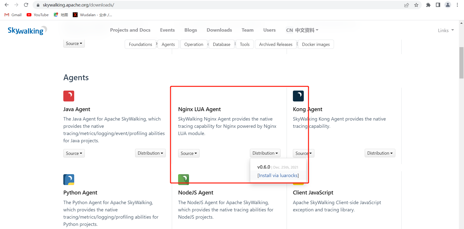Kubernetes 之 Skywalking监控基于Nginx | Openresty - しみずよしだ - 博客园