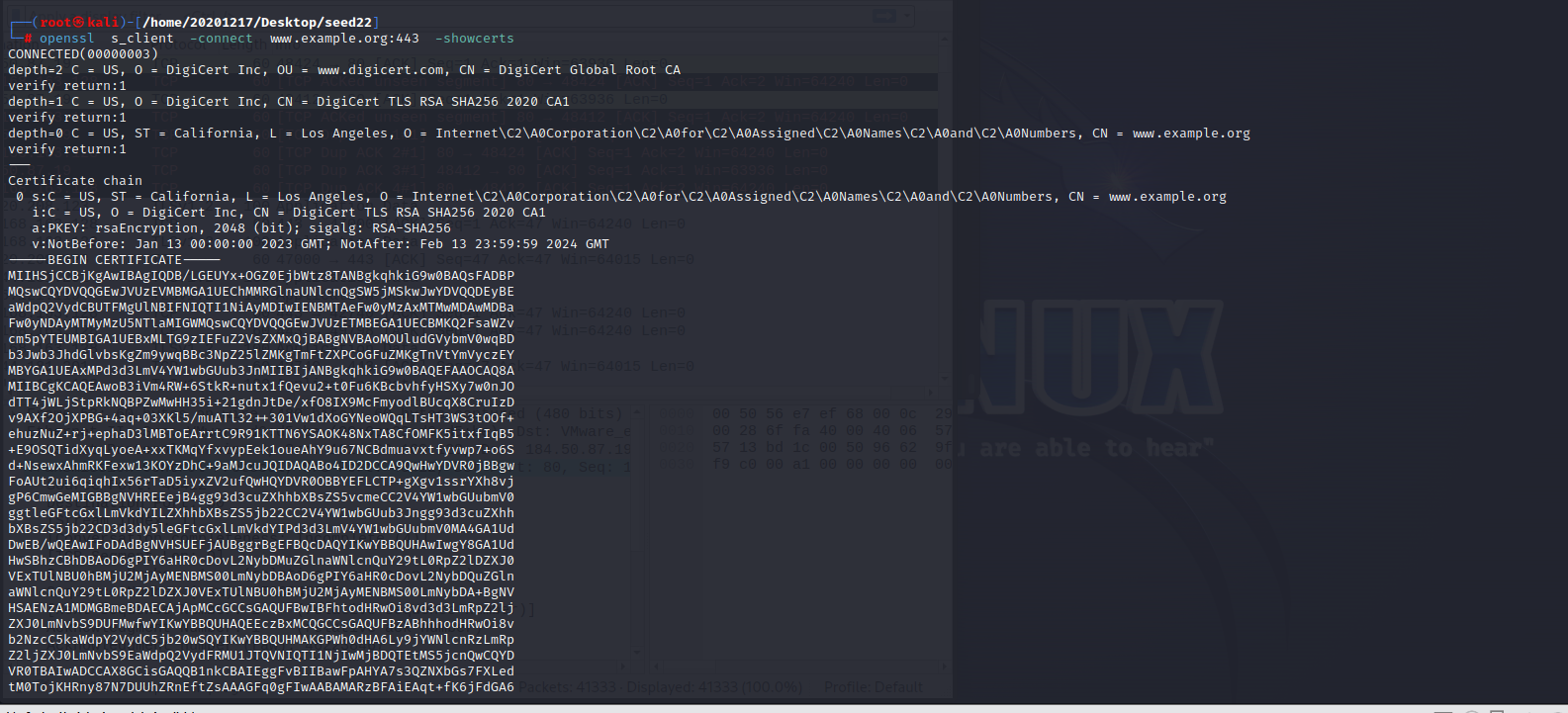 Seed Labs—— RSA Public-Key Encryption and Signature Lab - ssssspm - 博客园