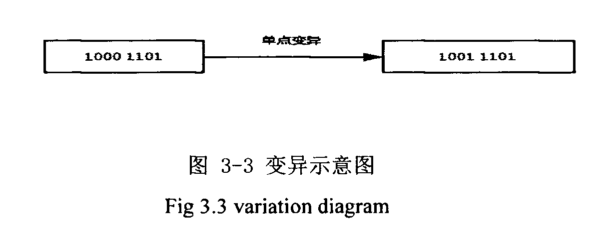 三维装箱之遗传算法讲解 多见多闻 博客园 