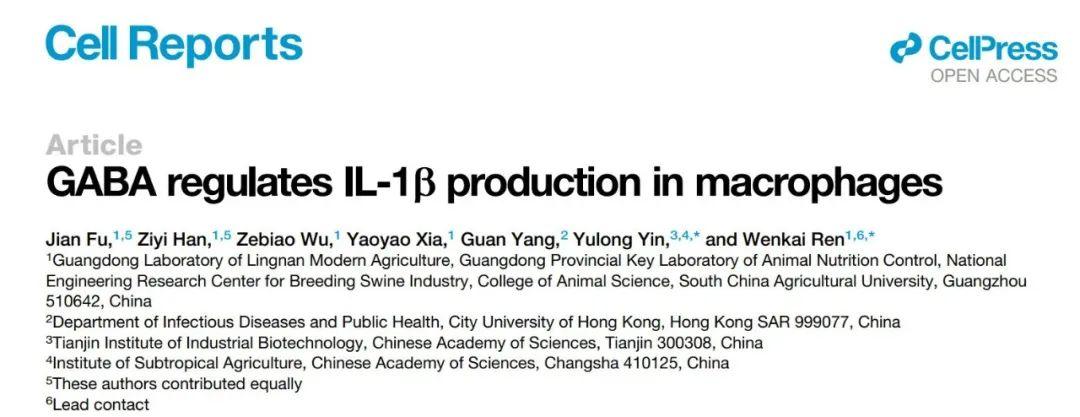Cell Rep | 任文凯/印遇龙院士团队琥珀酰化修饰组学揭示GABA调控巨噬细胞命运机制 - PTMBio - 博客园