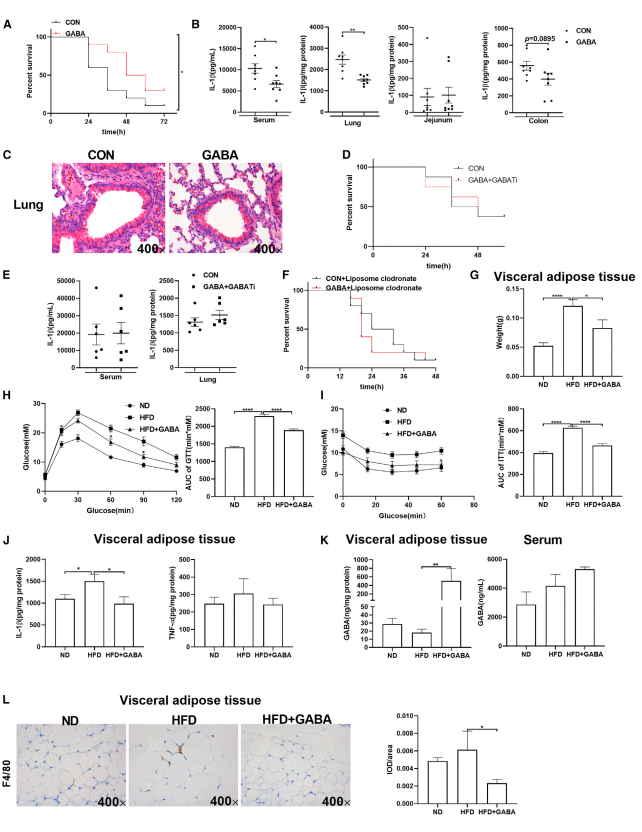 Cell Rep | 任文凯/印遇龙院士团队琥珀酰化修饰组学揭示GABA调控巨噬细胞命运机制 - PTMBio - 博客园