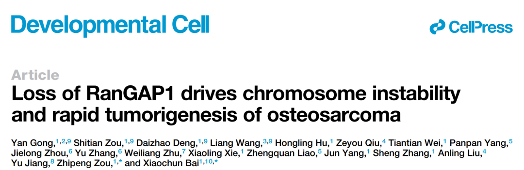 Dev Cell | 南方医科大学白晓春/邹志鹏团队蛋白组学揭示骨肉瘤发生的新机制 - PTMBio - 博客园