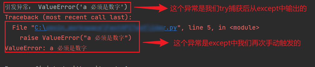 Python assert raise yessir 