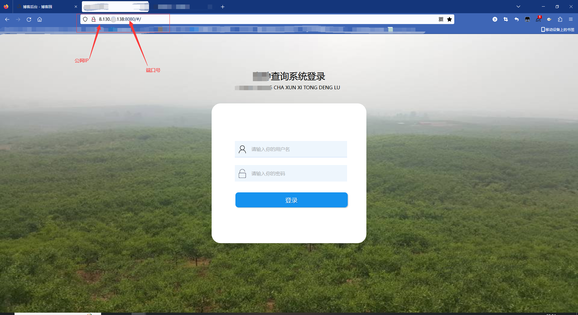 VUE3.0 + nodejs + mysql 开发以及部署到服务器 （windows server） - 梁哲 - 博客园