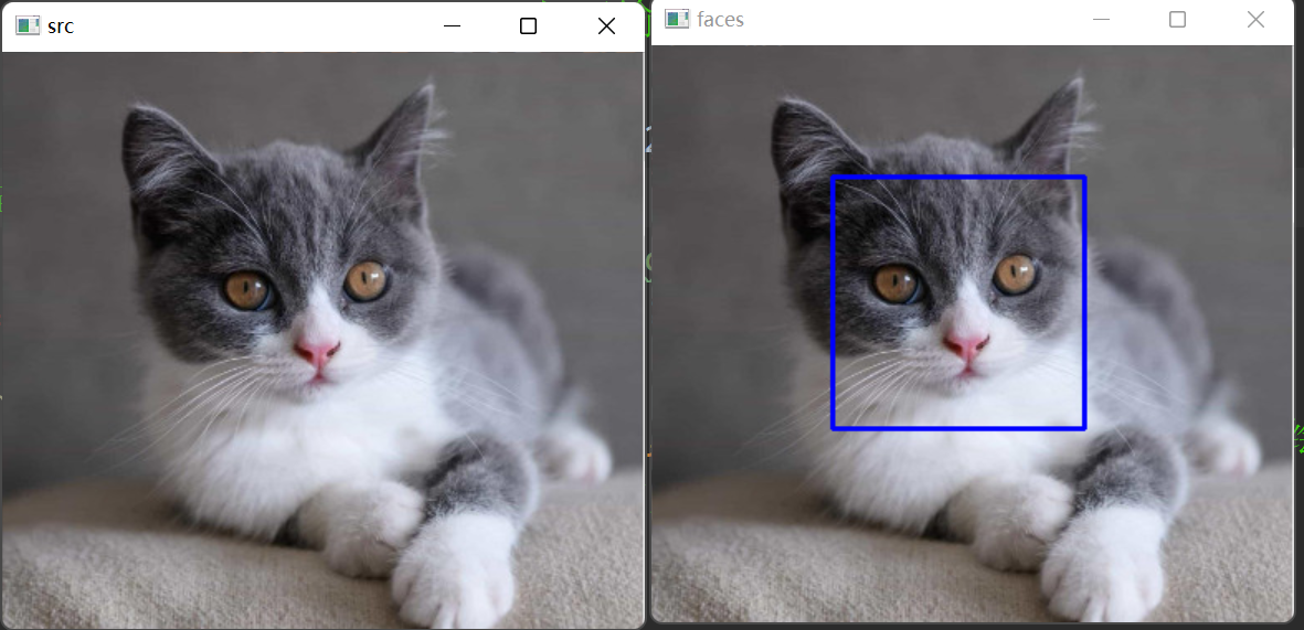 Pythonopencv 人脸检测和识别 人脸检测 一路狂奔的乌龟 博客园