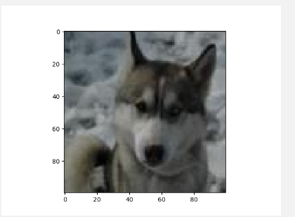 【python机器学习课程设计】狗的品种识别 - 吴龙达 - 博客园