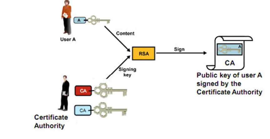 PKI - Xuraniiiz - 博客园