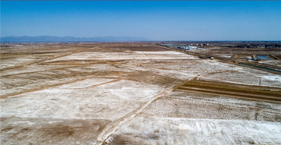 Solutions of Soil Salinization - 微na - 博客园