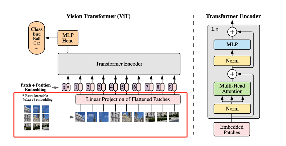 手把手教你实现PyTorch版ViT：图像分类任务中的Transformer实战-CSDN博客